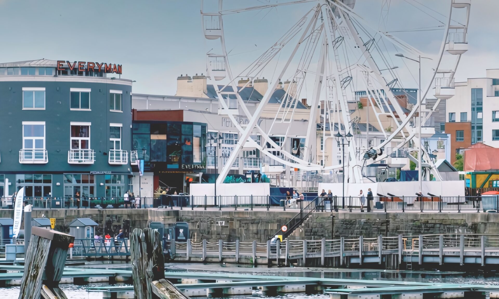 Student Branch - Knights